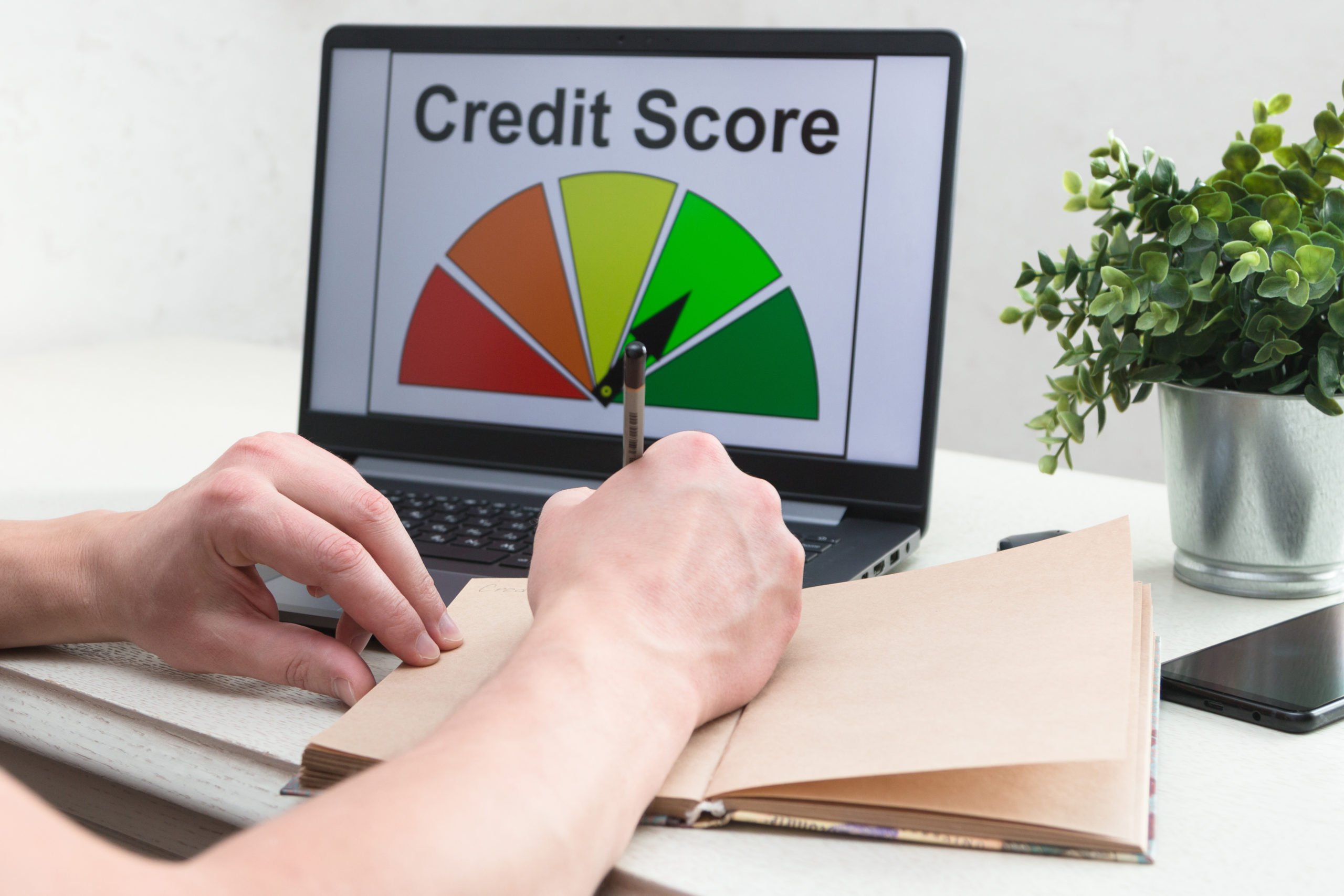 Credit Score Guide - Bluebell Mortgages